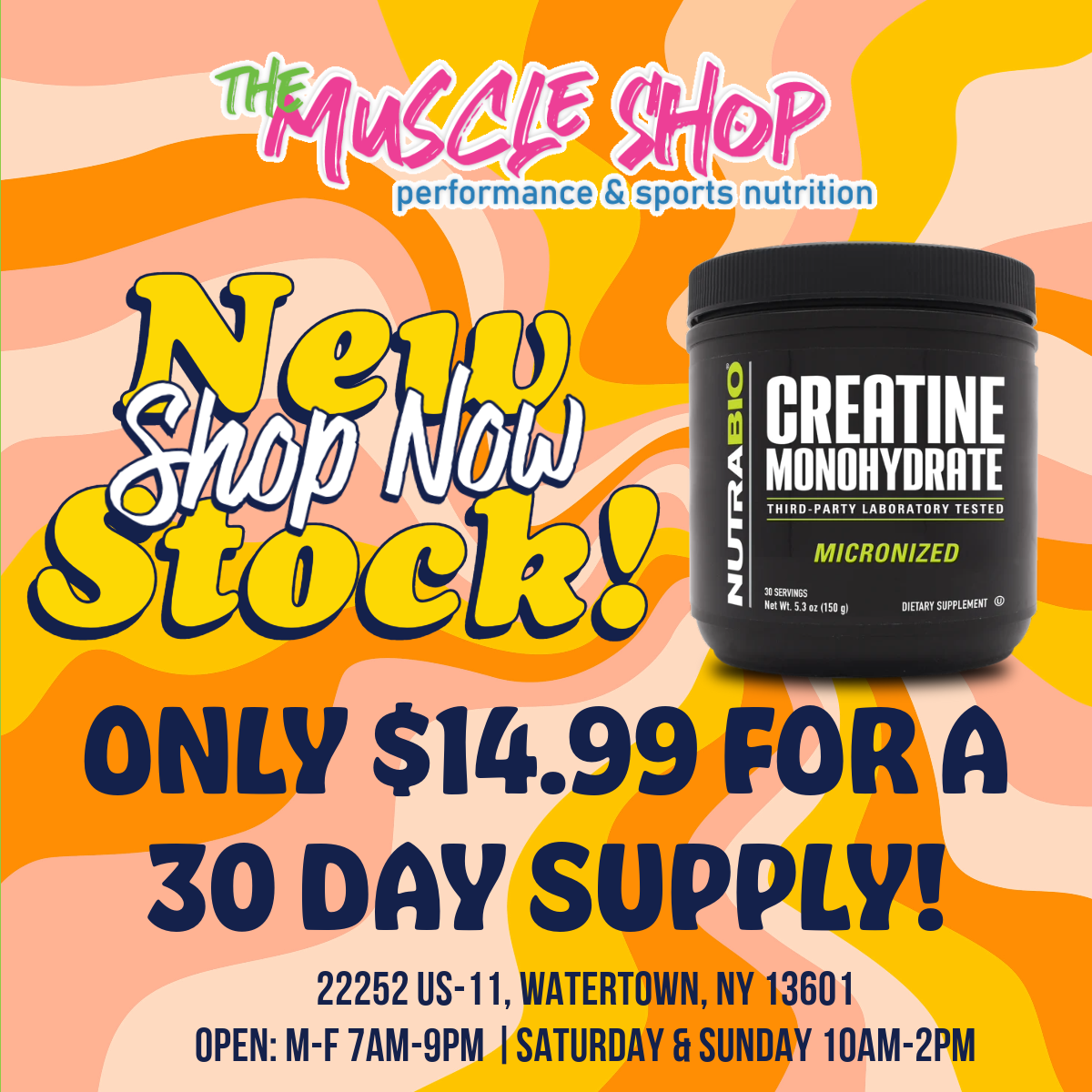Curious about Creatine? – The Muscle Shop